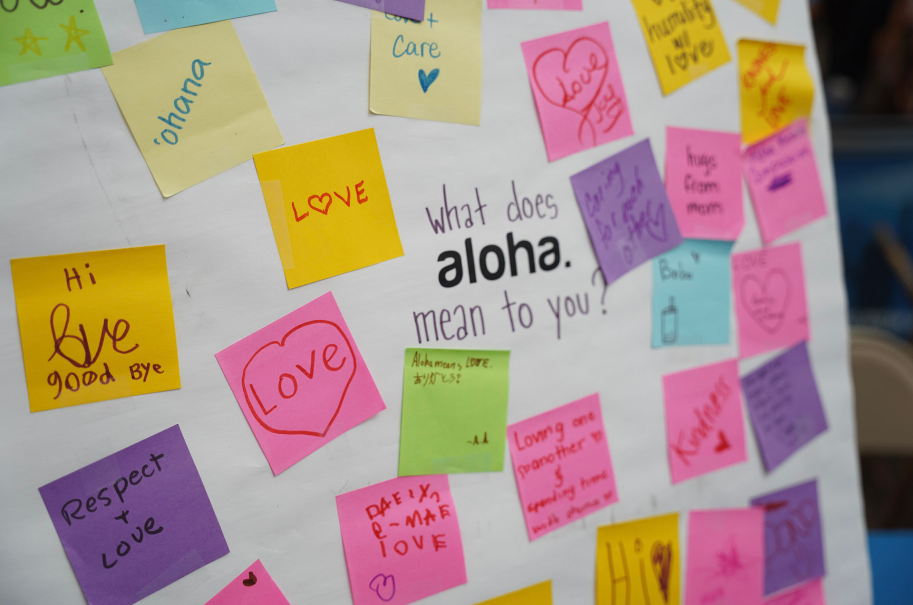 Actions of Aloha - Bringing aloha to every home.